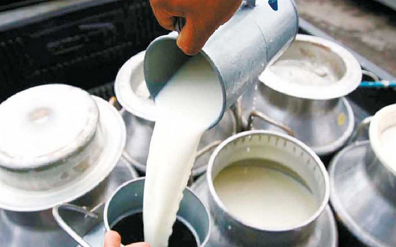 शिवालय दुग्ध सहकारी संस्था लि.खैराबाट ४२ लाख भन्दा बढी दुध बिक्री ...