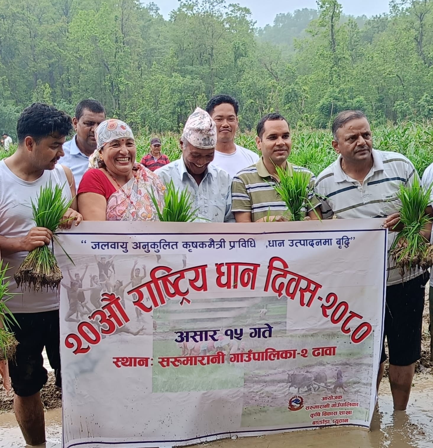 २०औं राष्ट्रिय धान दिवस प्यूठानमा मनाईयो — jhulenipost.com